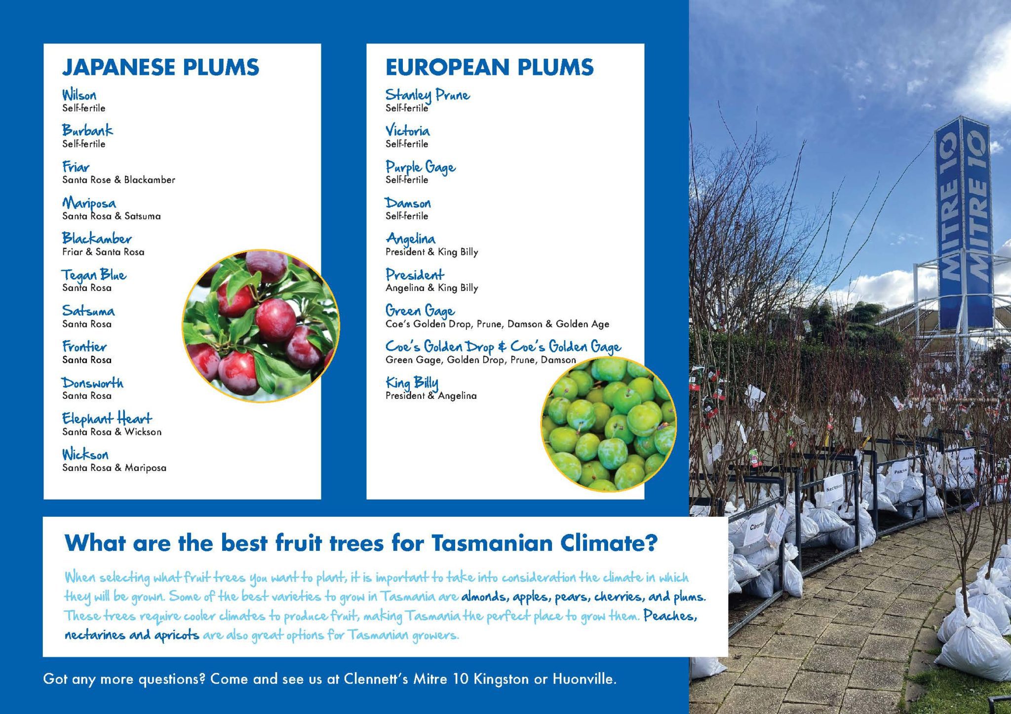 Fruit Tree Pollination Guide | Clennett's Mitre 10